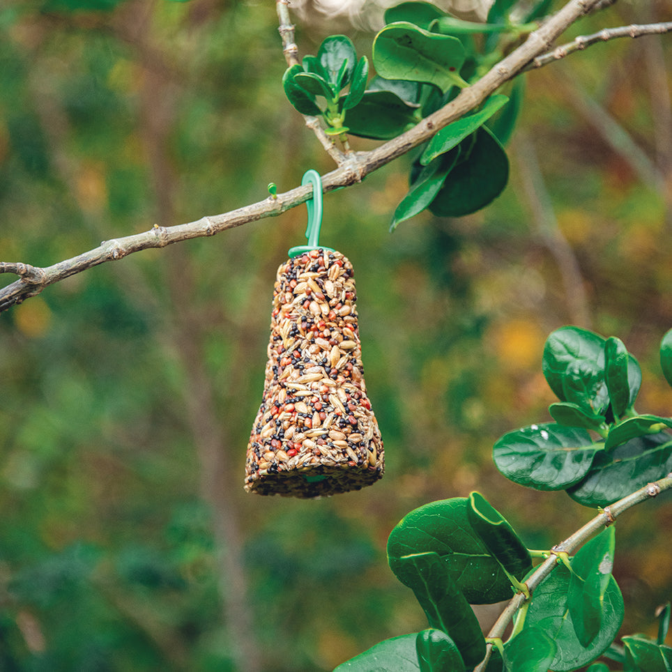 Bird seed bell store