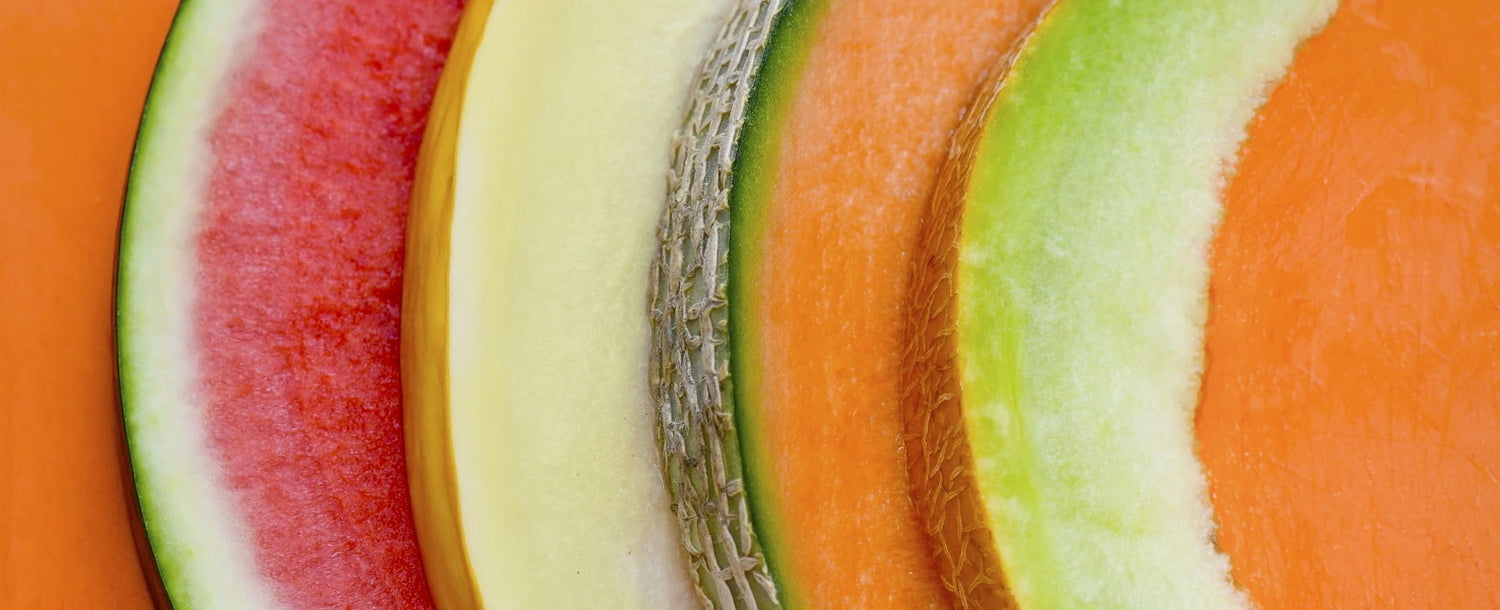 Melons and When to Harvest Them – Kings Seeds NZ