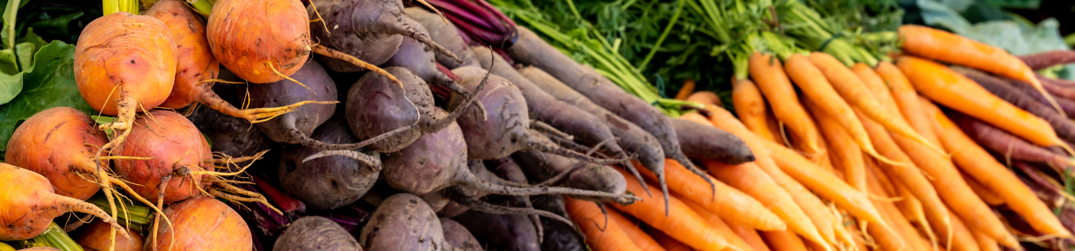 Shop Root Vegetable Seeds in New Zealand – Kings Seeds NZ