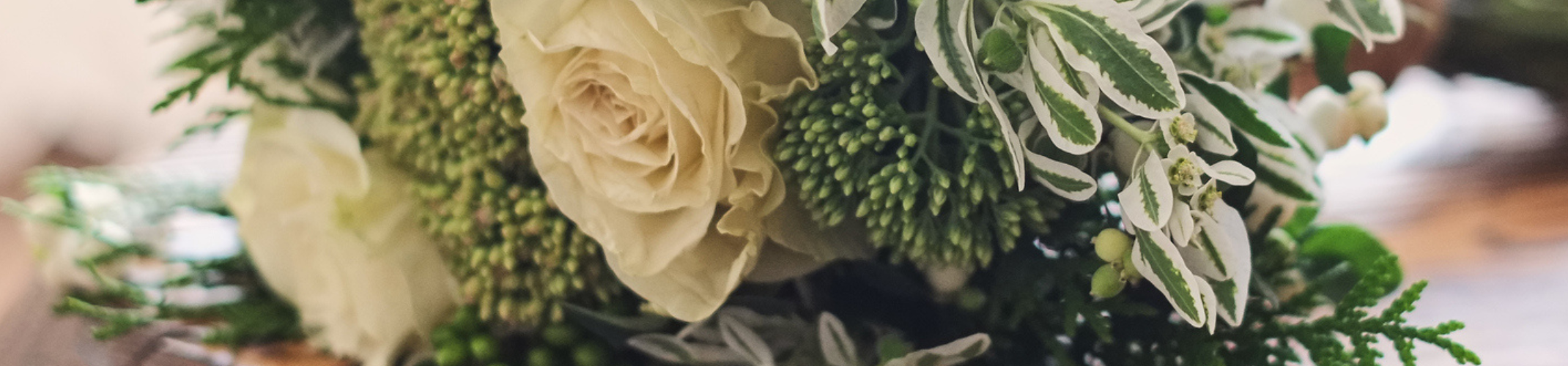 Cut Foliage – Kings Seeds NZ