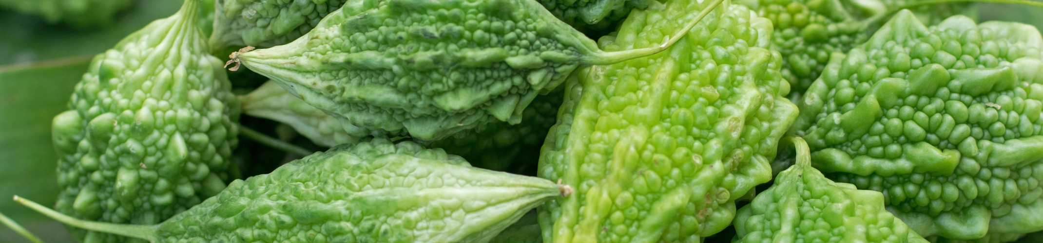 Shop Asian Vegetable Seeds in New Zealand – Kings Seeds NZ