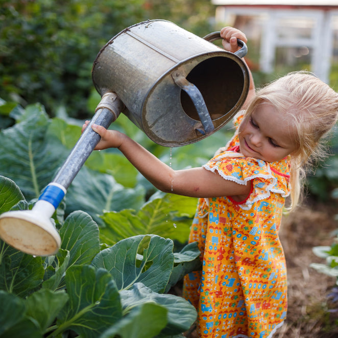 Kings Seeds - NZ's favourite seed supplier for over 40 years! – Kings ...