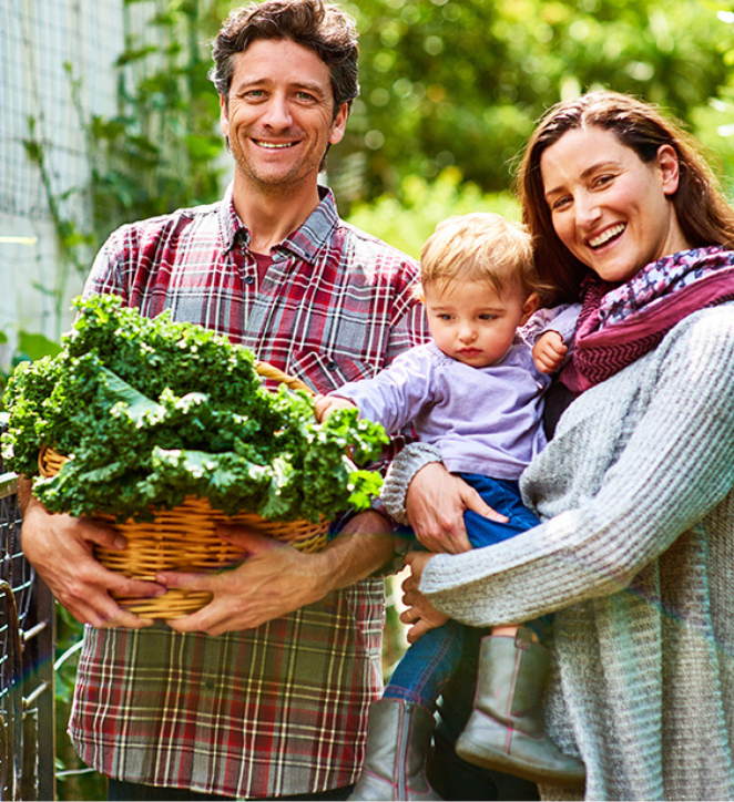 Kings Seeds - NZ's favourite seed supplier for over 40 years! – Kings ...