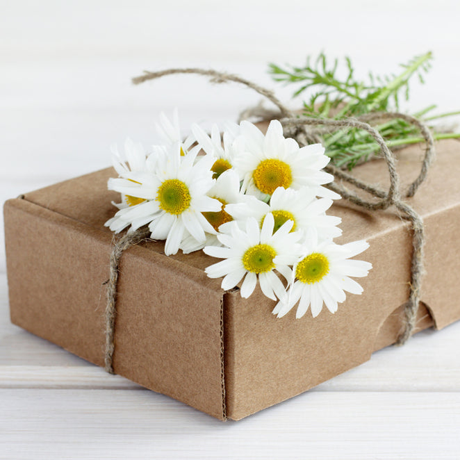 Kings Seeds - NZ's favourite seed supplier for over 40 years! – Kings ...