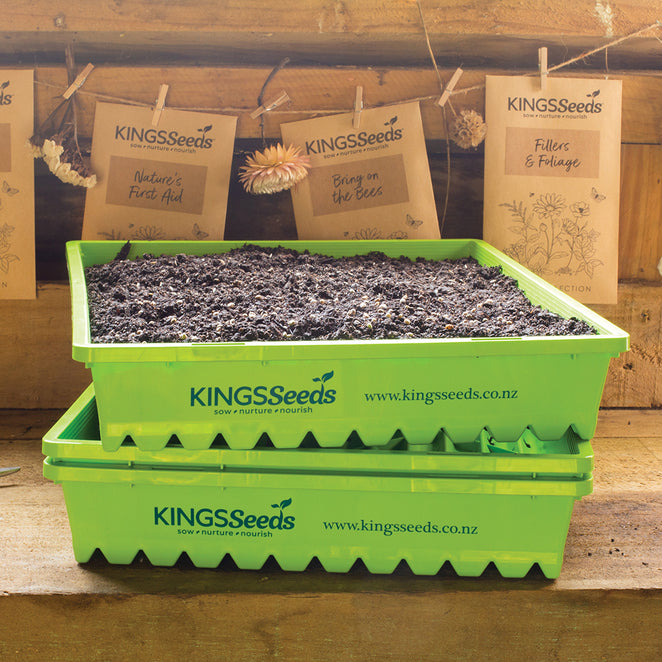 Kings Seeds - NZ's favourite seed supplier for over 40 years! – Kings ...