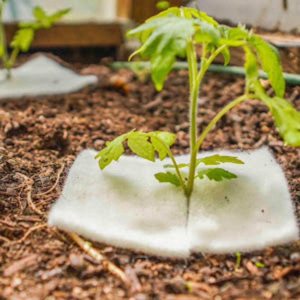 Buy Wool Mulch Mat (10 pk) by Kings Seeds online - Kings Seeds NZ