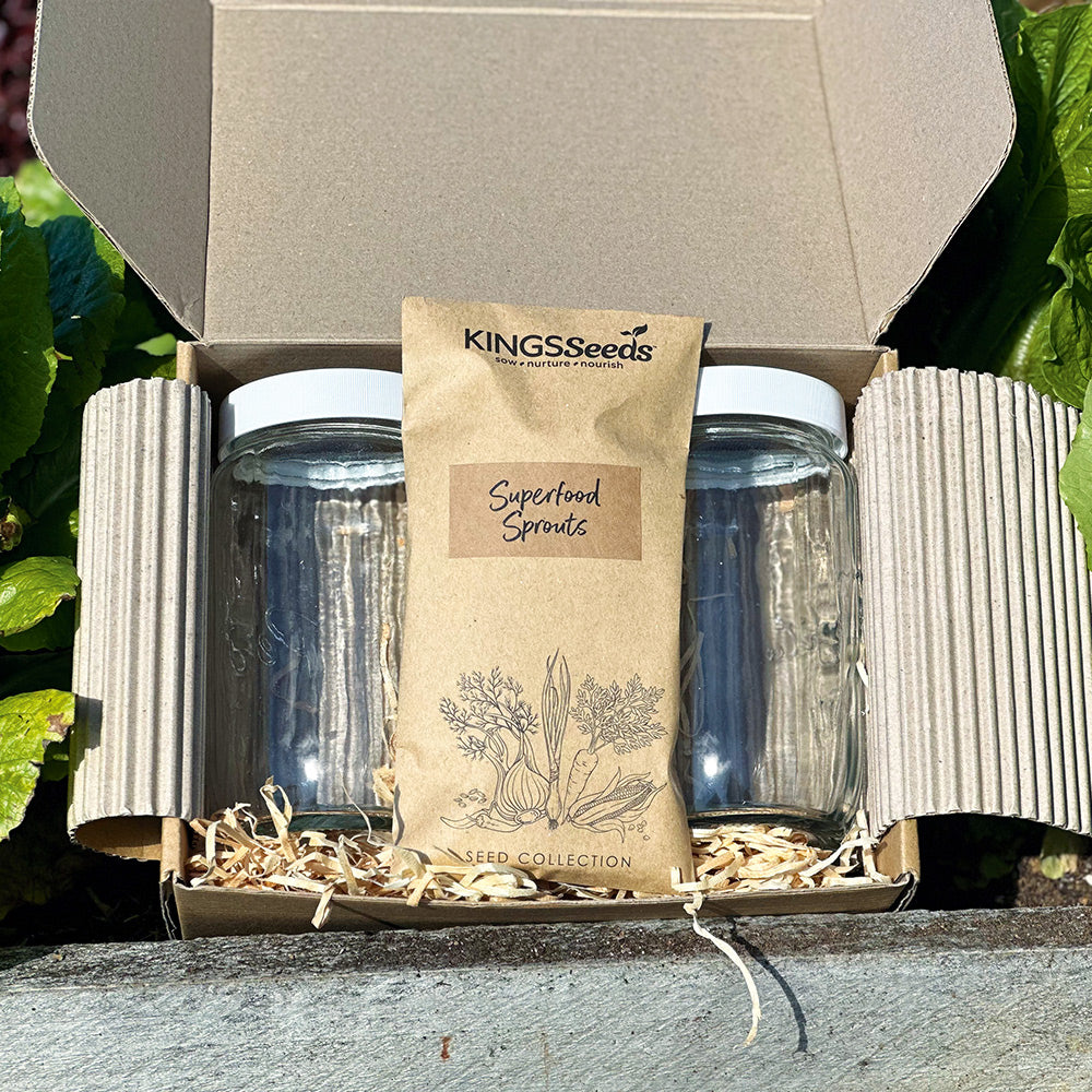 Buy Organic Sprouting Starter Kit by Kings Seeds NZ online - Kings Seeds NZ