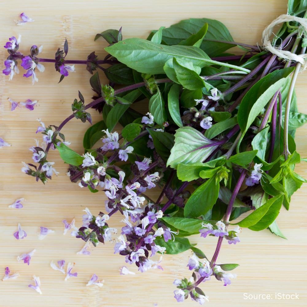Buy Herbs for Bouquets by Kings Seeds NZ online - Kings Seeds NZ