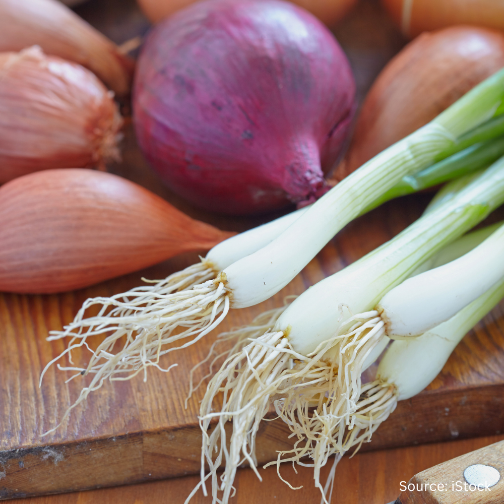 Buy Best of Alliums by Kings Seeds NZ online - Kings Seeds NZ