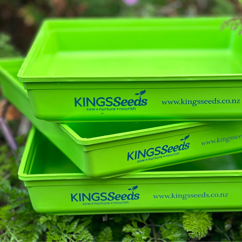 Buy Dipping Tray by Kings Seeds NZ online - Kings Seeds NZ