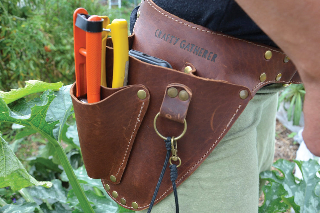 Giveaways & Competitions – Kings Seeds NZ