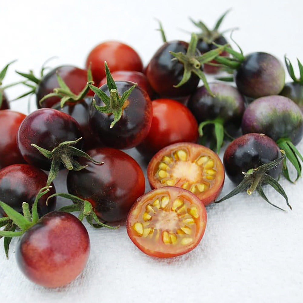 Buy Organic Tomato Indigo Blue Berries by Kings Seeds NZ online - Kings ...