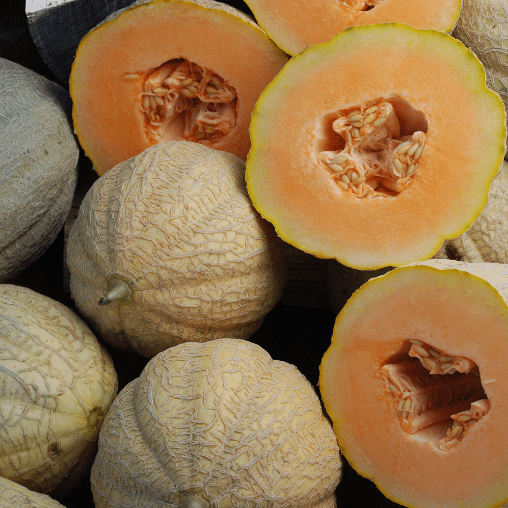 Buy Organic Melon Pride of Wisconsin by Kings Seeds online - Kings Seeds NZ