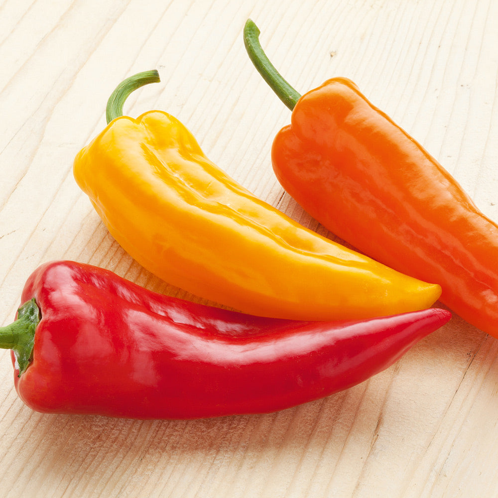 Buy Organic Capsicum Cornito Mix F1 by Kings Seeds online - Kings Seeds NZ