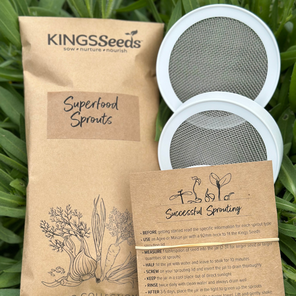 Buy Organic Sprouting Kit by Kings Seeds online - Kings Seeds NZ