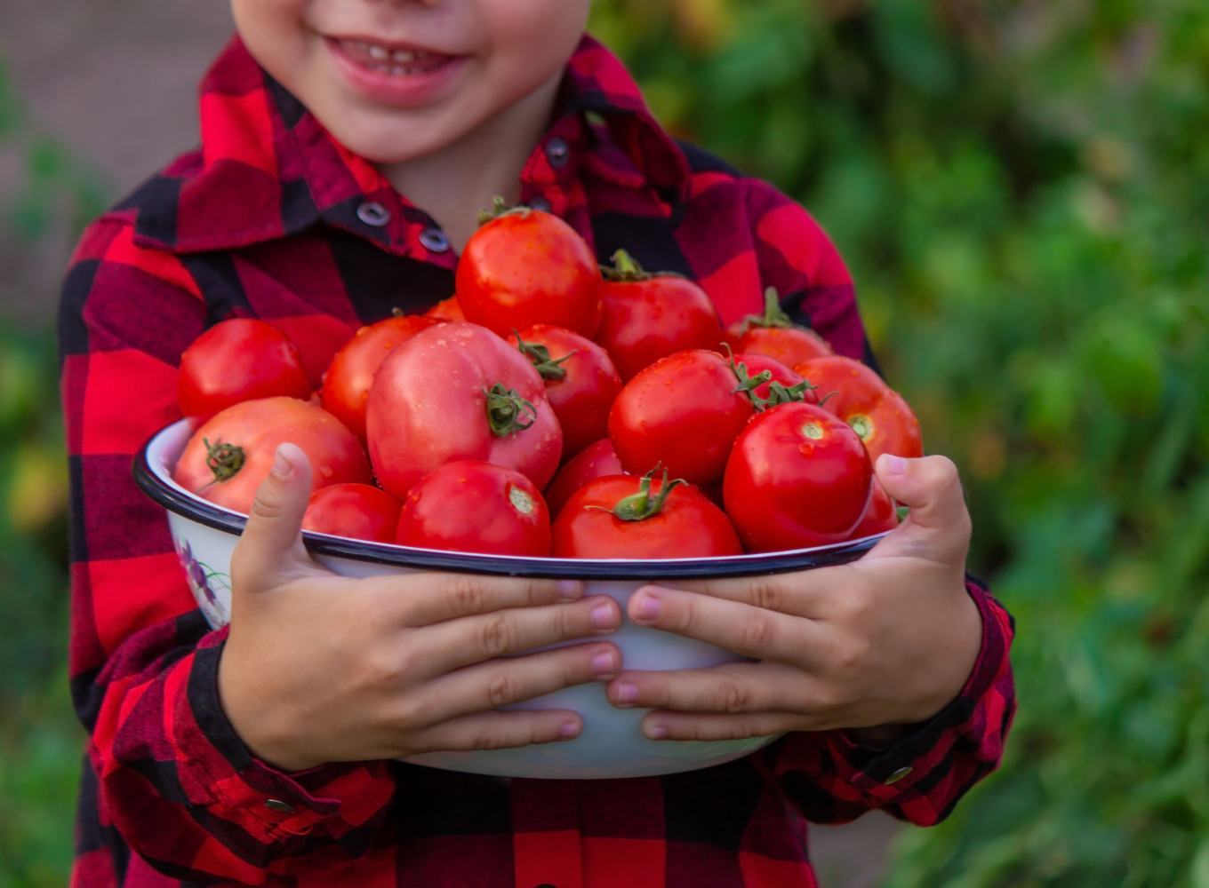 Kings Seeds - NZ's favourite seed supplier for over 40 years! – Kings ...