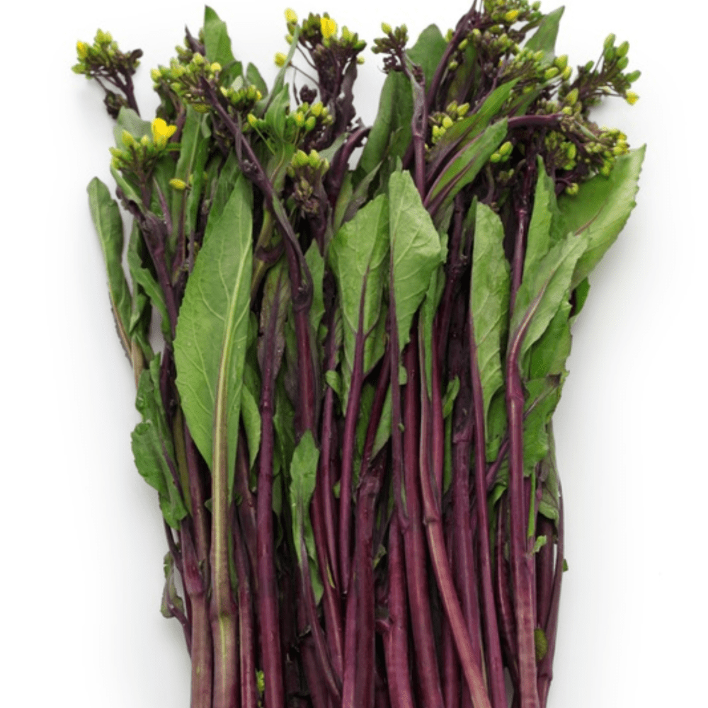 Buy Choy Sum Hon Tsai Tai by Kings Seeds online - Kings Seeds NZ