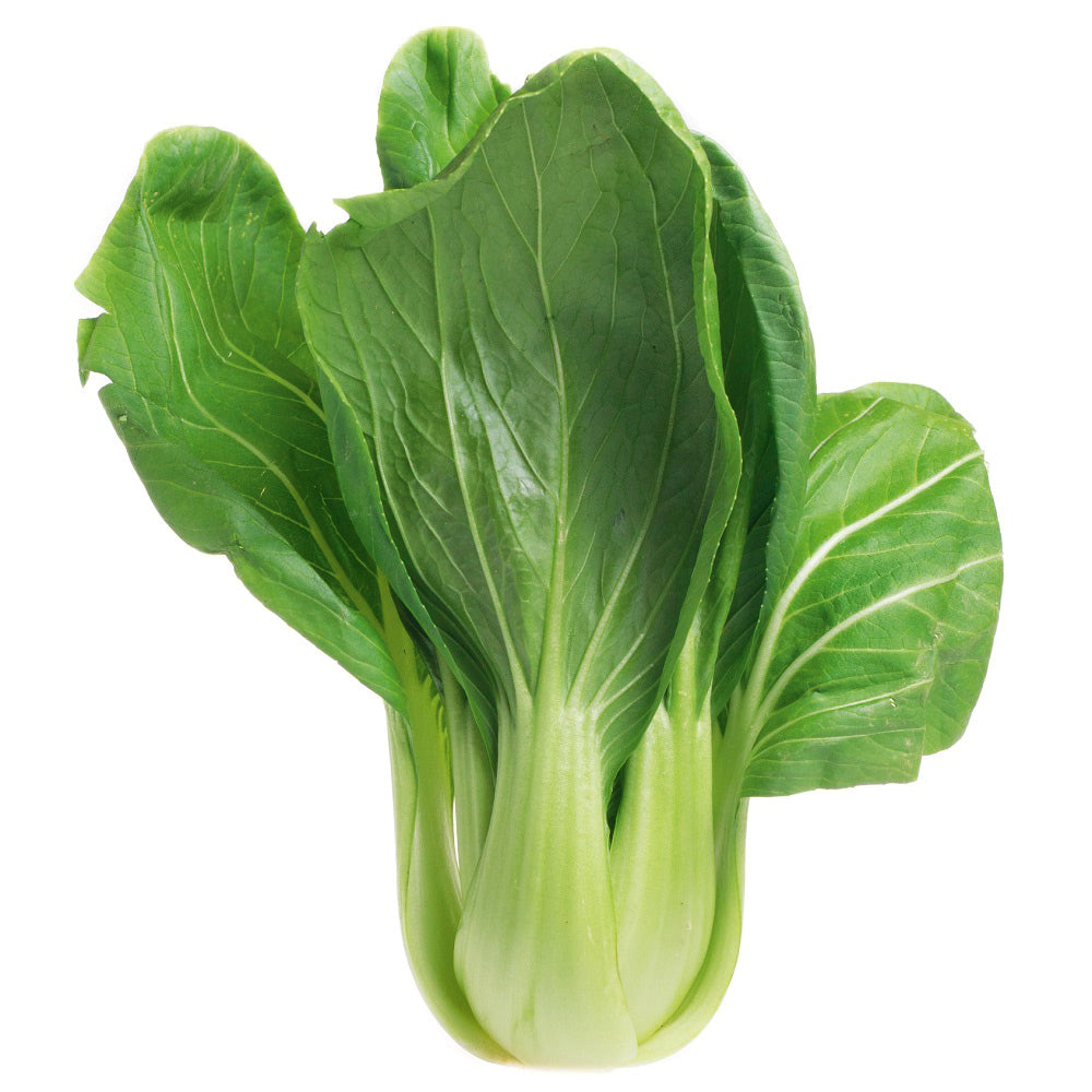 Buy Pak Choi Green Ace F1 by Kings Seeds NZ online - Kings Seeds NZ