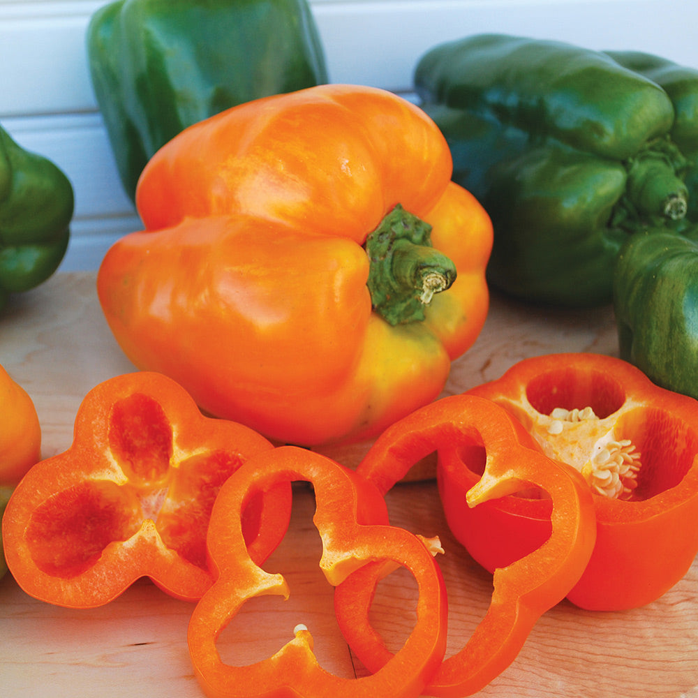 Buy Capsicum Orange Bell by Kings Seeds NZ online - Kings Seeds NZ