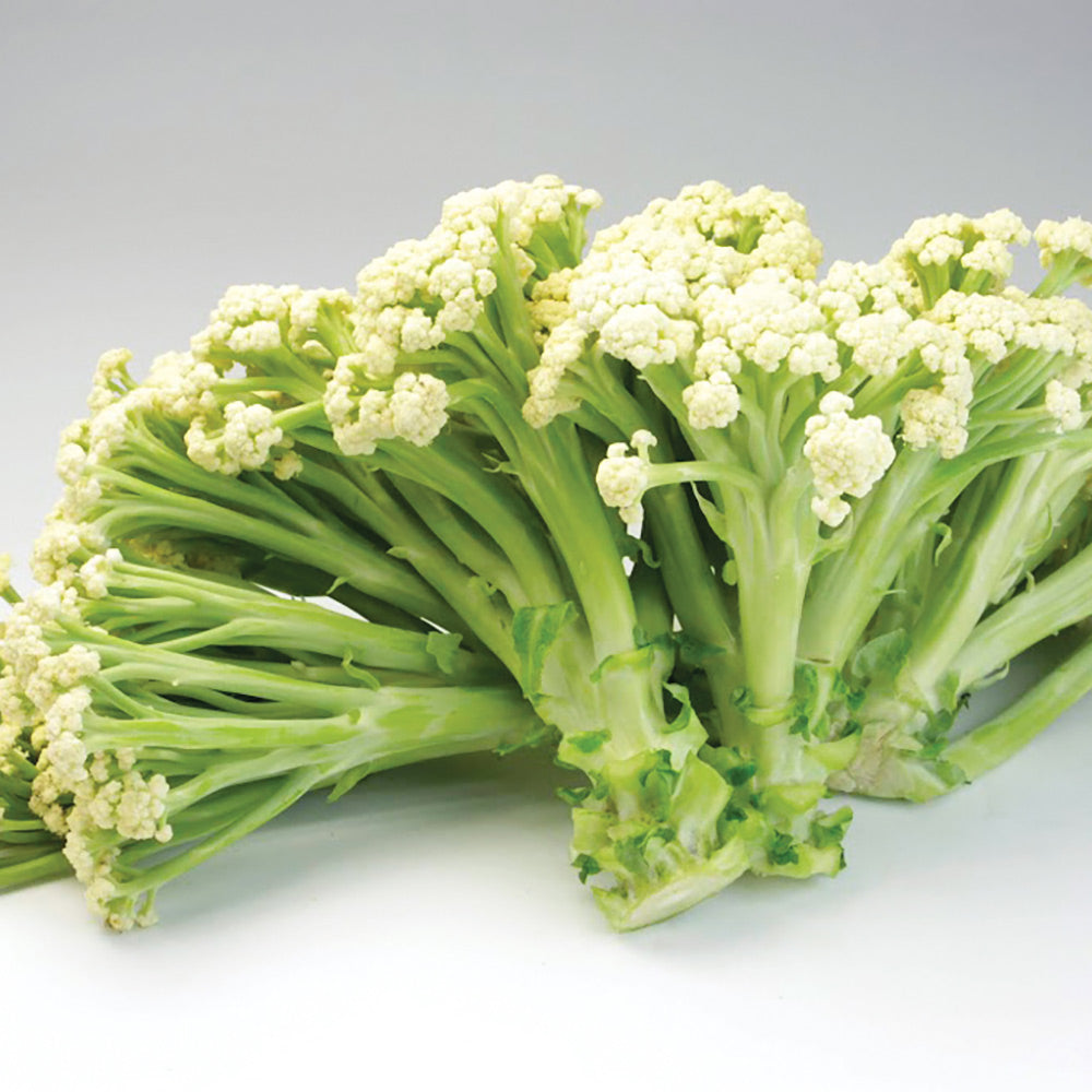 Buy Cauliflower Sprouting Fioretto F1 by Kings Seeds NZ online - Kings ...