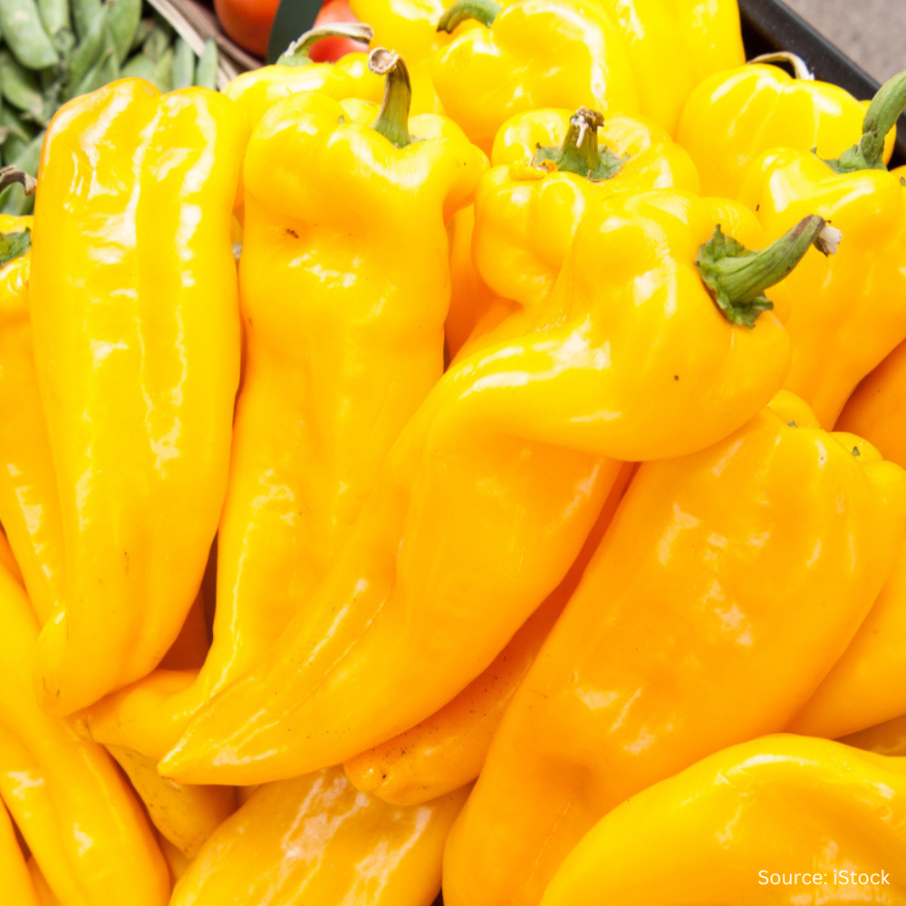 Buy Capsicum Marconi Yellow by Kings Seeds NZ online - Kings Seeds NZ