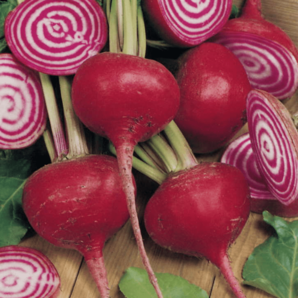 Buy Beetroot Chioggia by Kings Seeds online - Kings Seeds NZ